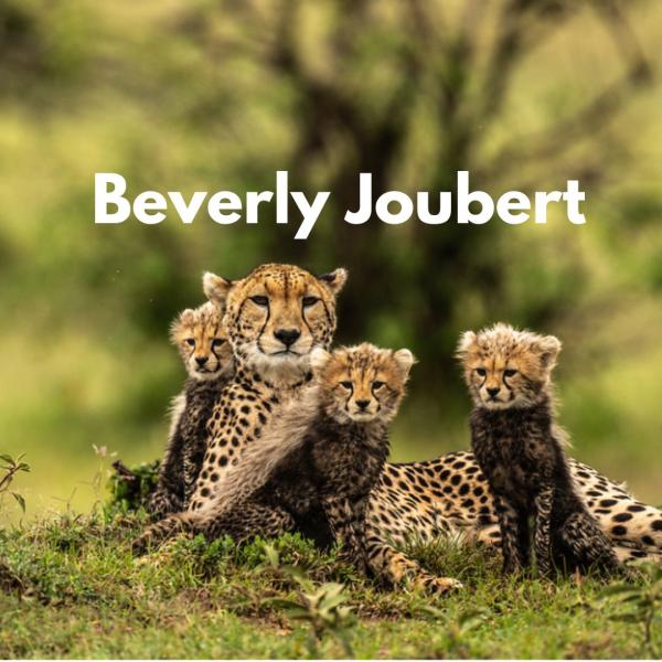 International League of Conservation Photographers | License Visuals