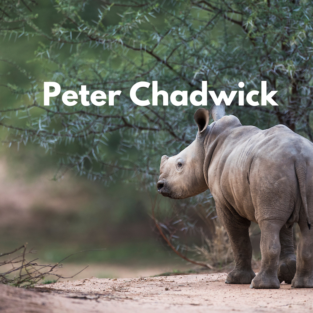 International League of Conservation Photographers | License Visuals