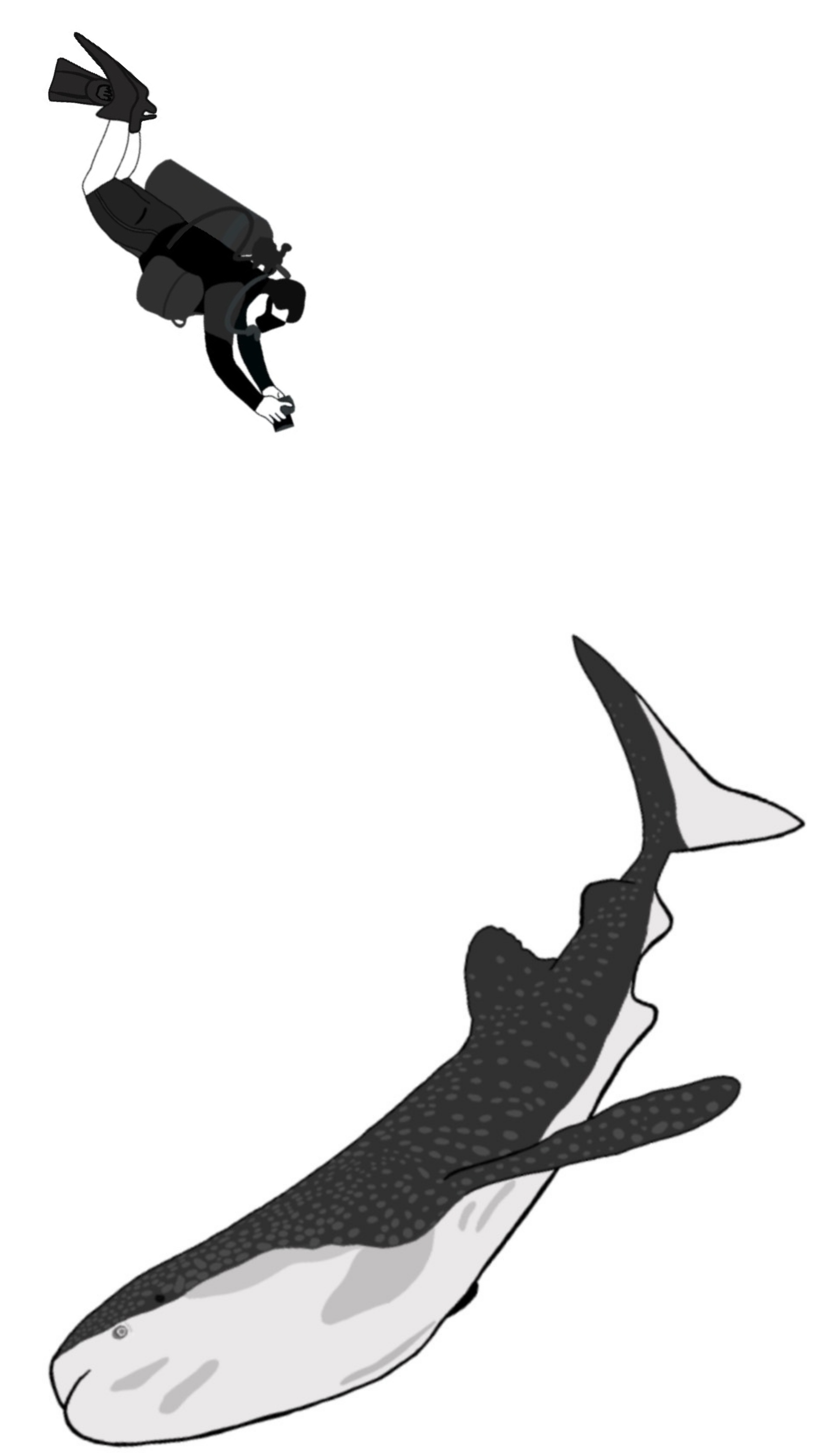 International League of Conservation Photographers | Apply for Membership